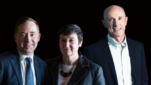 Optus chairman Paul O'Sullivan takes on political hot potato