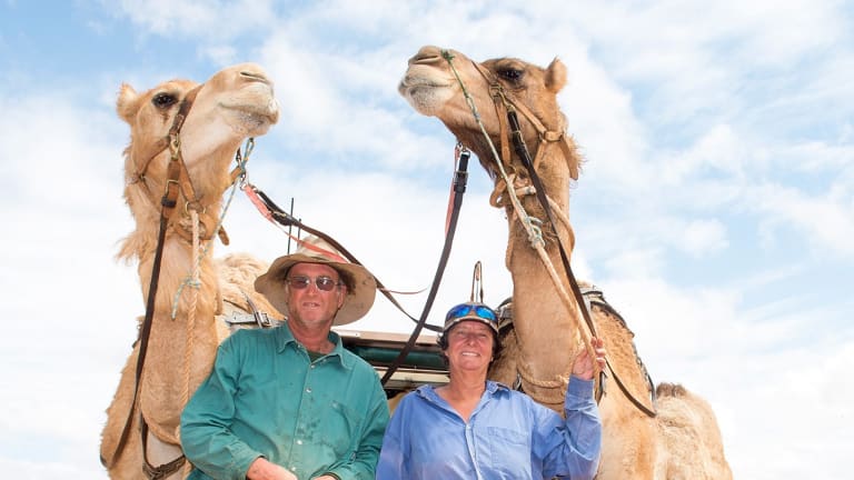 Iconic Birdsville Races on as flood waters subside