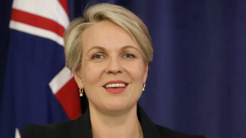 Female Labor MPs outnumber Liberal women two to one in new Parliament