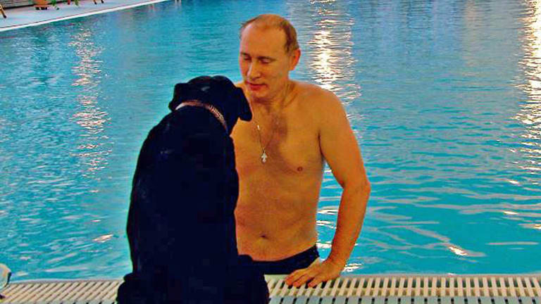 Vladimir Putin denies setting his dog on Angela Merkel Vladimir Putin denies setting his dog on Angela Merkel