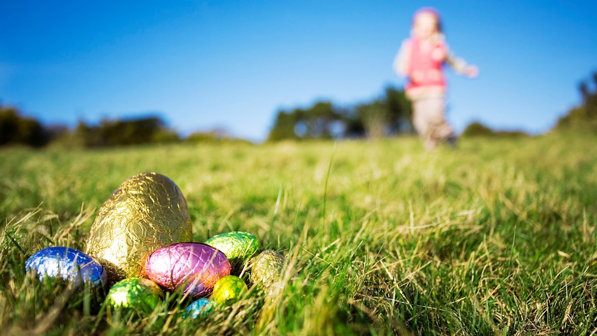 'Official' rules for this year's Easter egg hunt | Nine.com.au