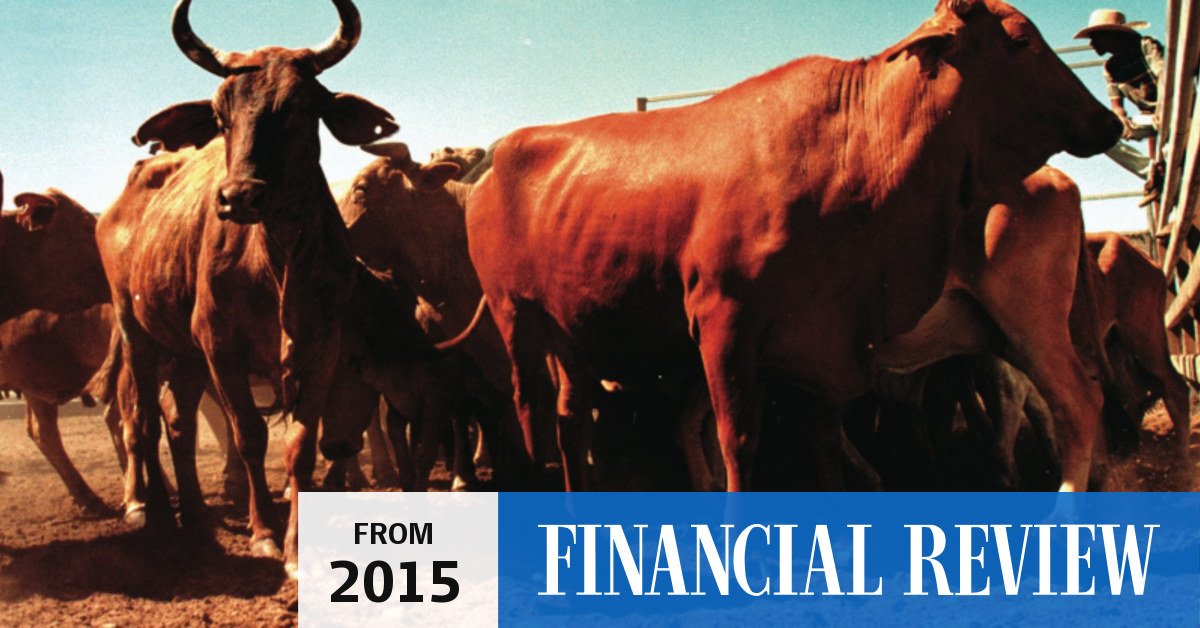 DomaCom gets Shaw and Partners on board for Kidman Station crowdfunding ...