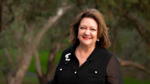 Mining magnate Gina Rinehart shows her softer side in rare interview