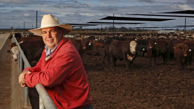 Mort & Co enlist Moelis for $175m cattle station and feedlot float