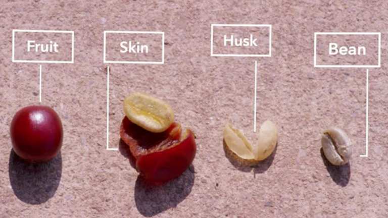 Huskee Cup, made of discarded coffee husk, is the latest coffee cup ...