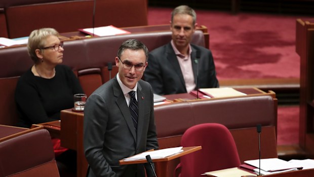 Key independent senator Tim Storer looks to write new chapter with own ...