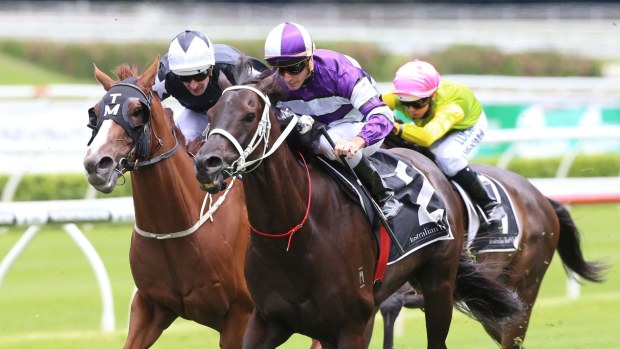 Scott Perrin rides off into Racing.com sunset