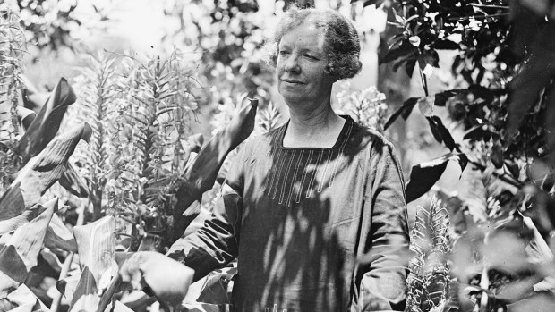 Margaret Preston as domestic goddess