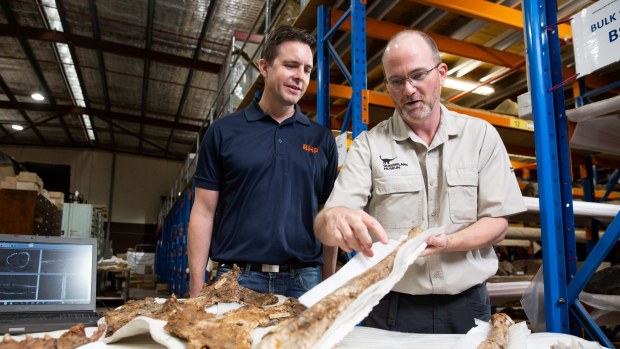 BHP invests $7.6m for Qld Museum's first Big Australians