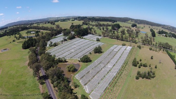 Southern Highlands' oldest winery sells for $2m