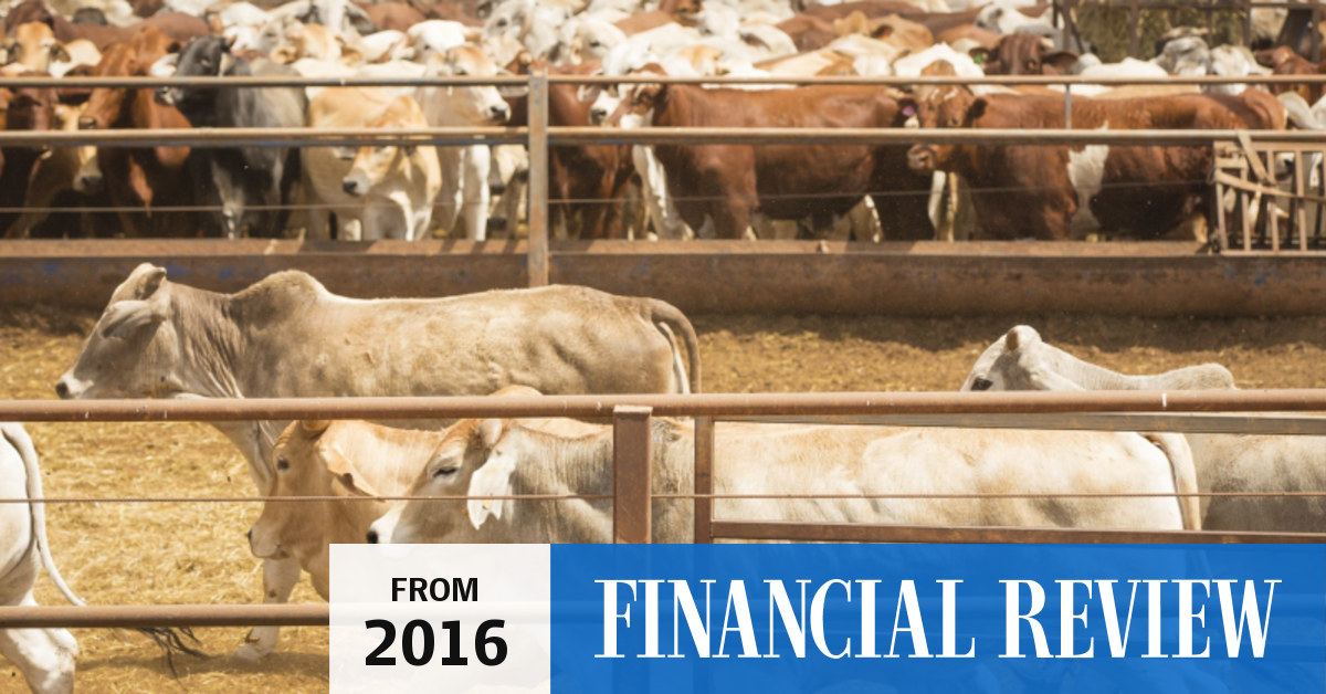 S. Kidman Co sale: Chinese pull $370m bid for Australia's largest ...