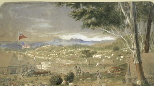 Edward Roper watercolour strikes gold