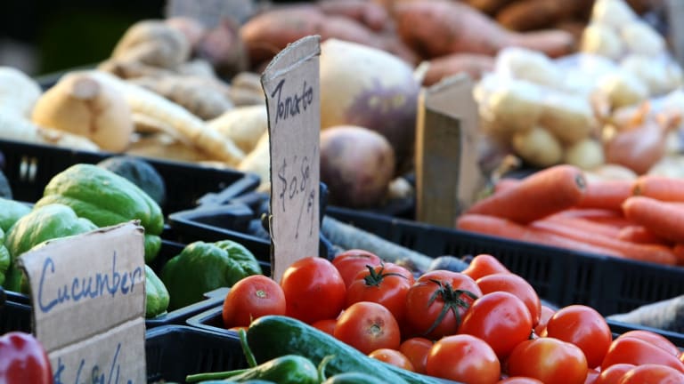 Hotter, harder times forecast for the farm as climate changes food ...