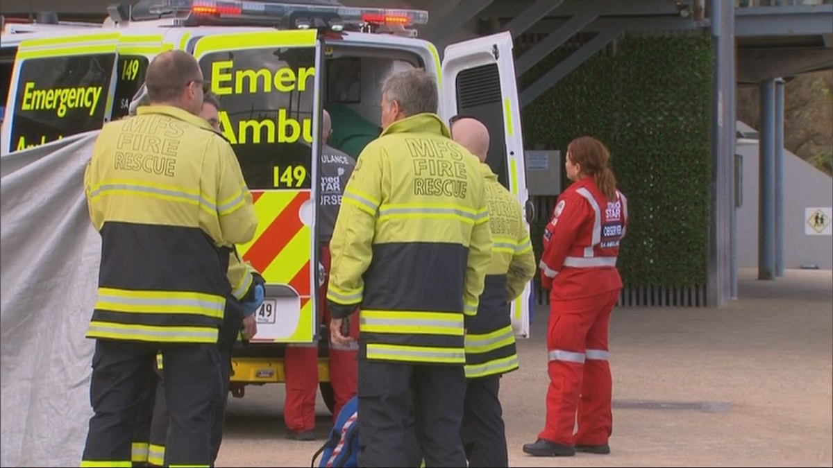 Man in serious condition after shark attack at South Australia beach ...