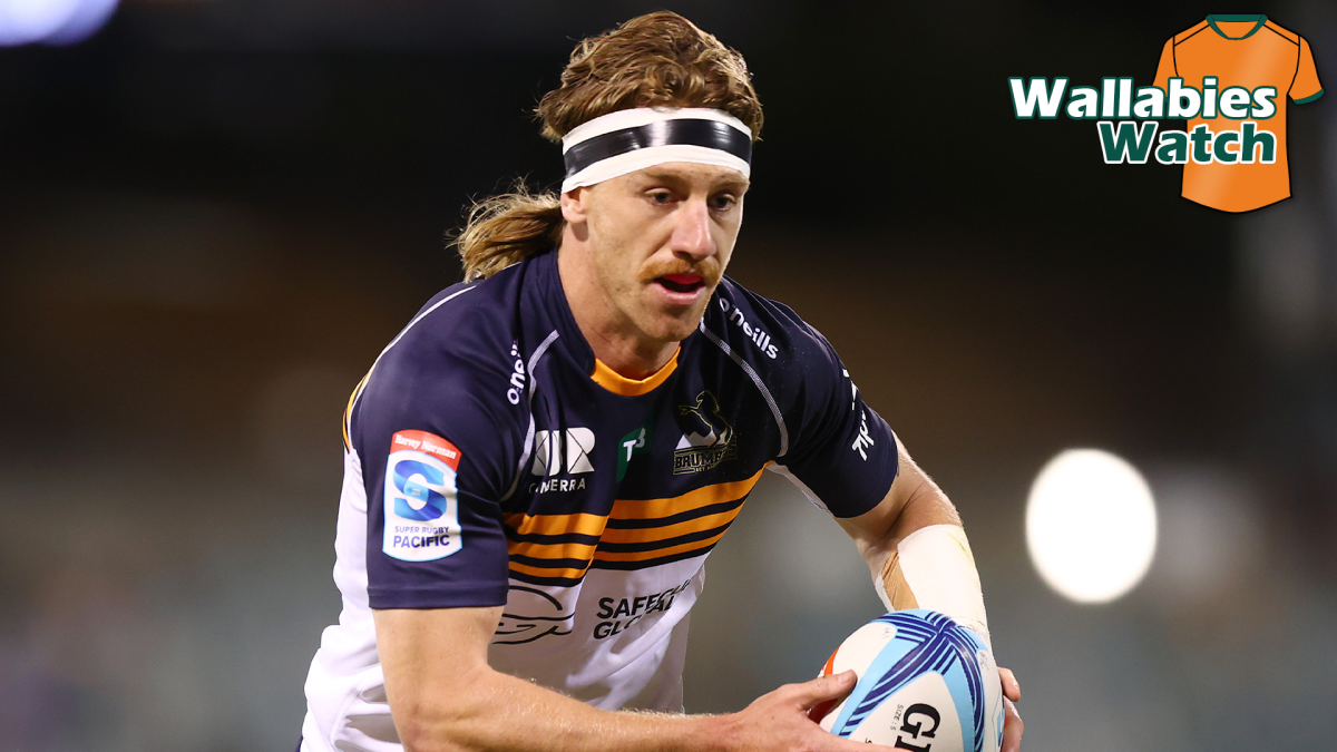 Rugby Australia 2023 Wallabies Watch: Ben O'Donnell stars for Brumbies ...