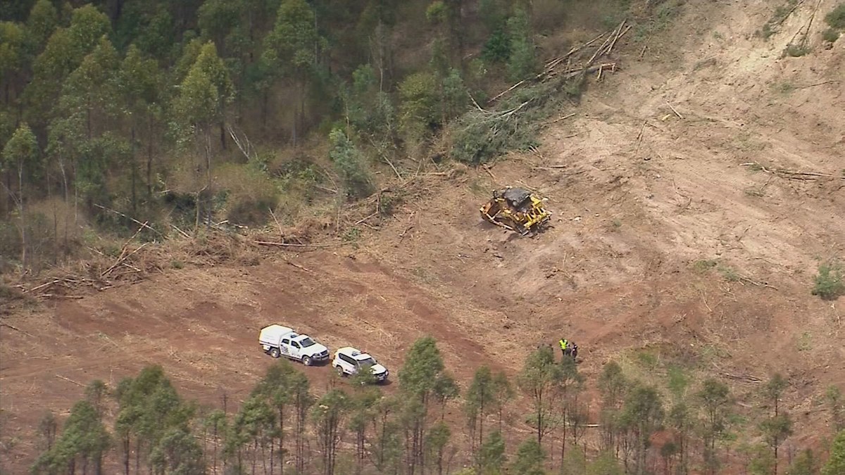 Tarong news: Worker dies after being crushed by a bulldozer at ...