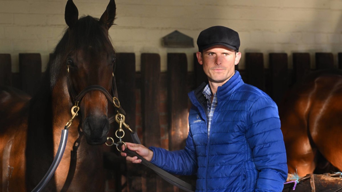 Horse racing news 2024: Cox Plate final field and barriers confirmed ...