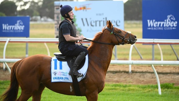 Horse racing news 2024: Vauban, Absurde arrive in Australia for Melbourne Cup preparations
