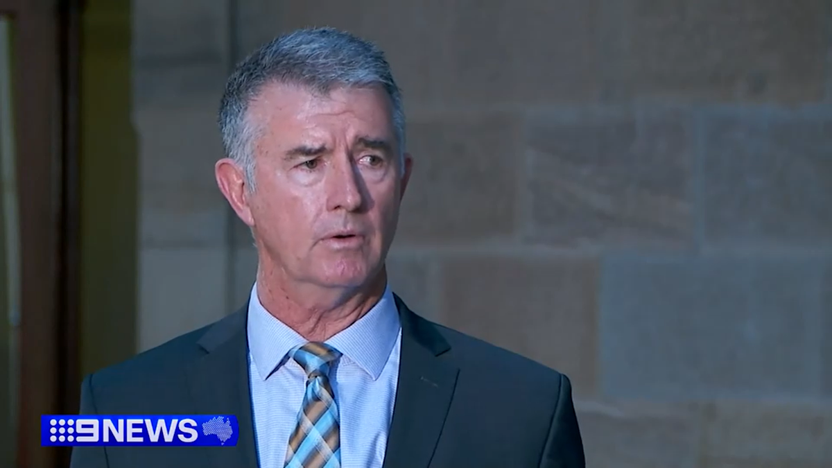 Tim Mander update: Queensland Olympics minister quits cabinet position ...