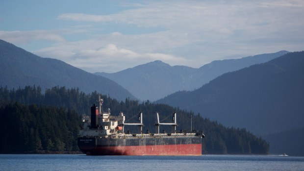 Petronas may sell majority stake in Canadian LNG project