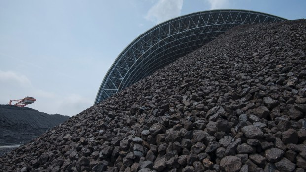 Coal zombies show signs of life