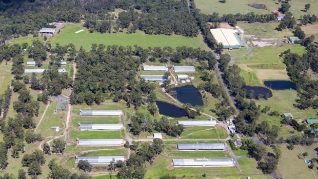 Inghams sells outer-Sydney chicken farm for $4m