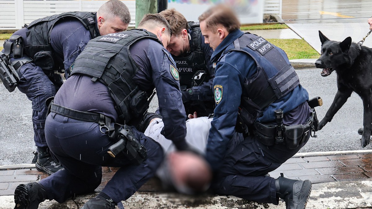 G7 gang: New gang allegedly recruiting kids to commit crimes for ...
