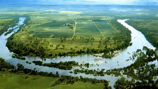 Nutrano Produce Group looks for IPO