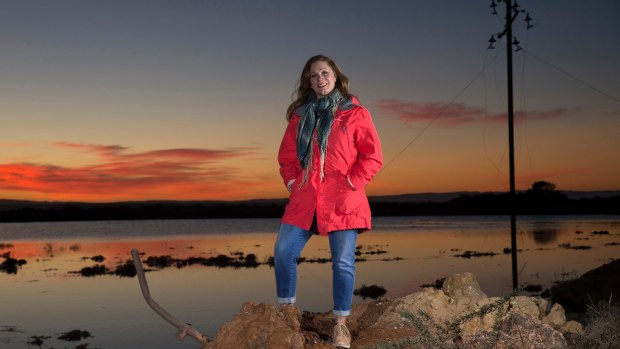 Alexandra Olsson's gourmet sea salt business Pacific Salt is about to ...