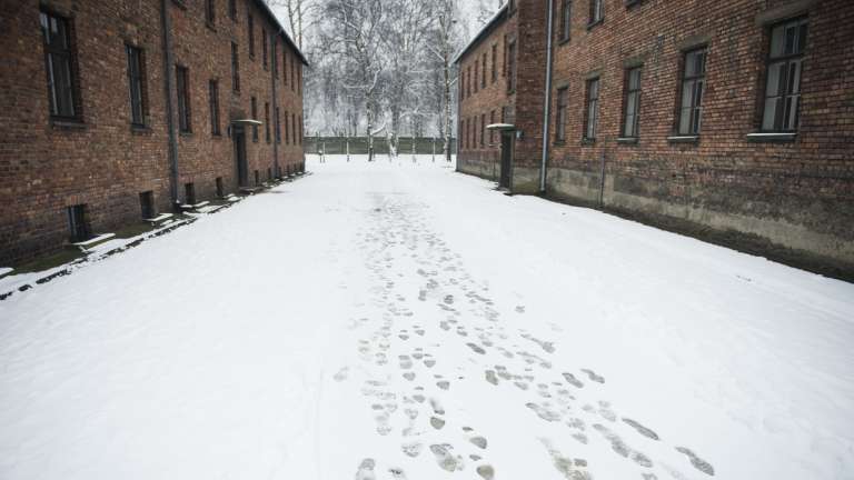 Politics impinge on 70th anniversary of Auschwitz liberation