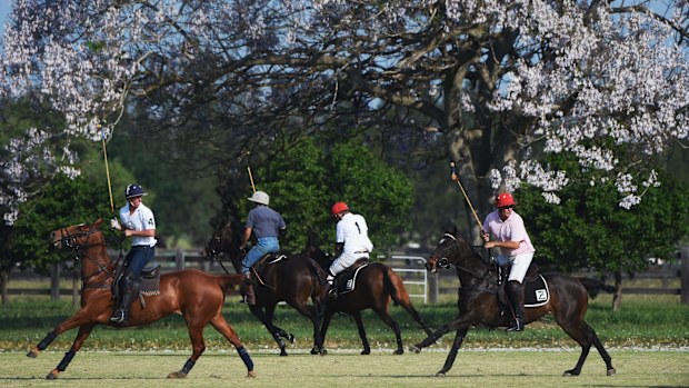 The World Polo Championship comes to Sydney this month and you're invited