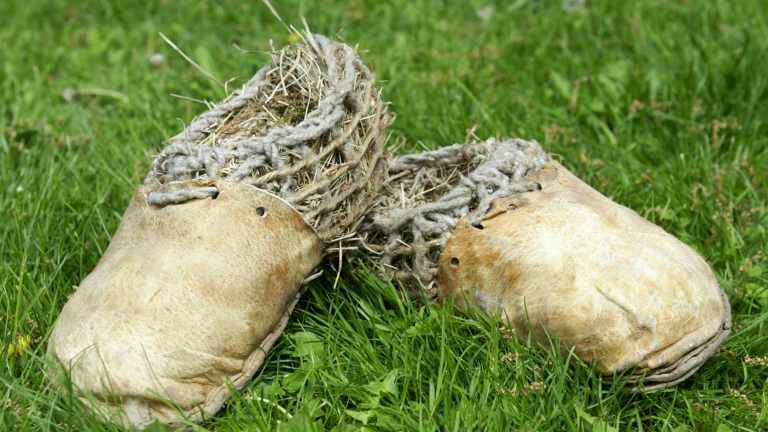 Bacterium in Otzi the Iceman's stomach provides human migration clues