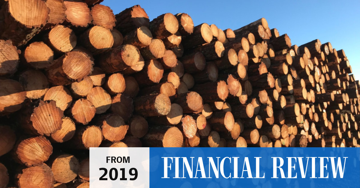 AAM buys Allied Timber mill in Bathurst as part of carbon capture focus