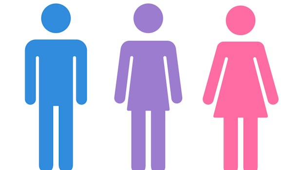 Gender-neutral office loos are no longer a place to gossip