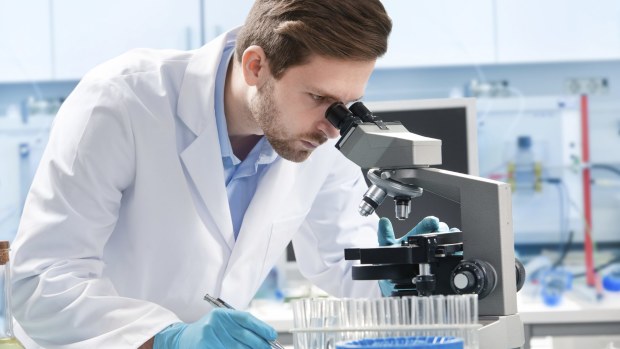 Meet Stemcentrx, the $US10.2 billion Silicon Valley firm that's curing ...