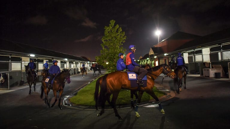 Sheikh Mohammed's Godolphin empire aims for first Melbourne Cup win