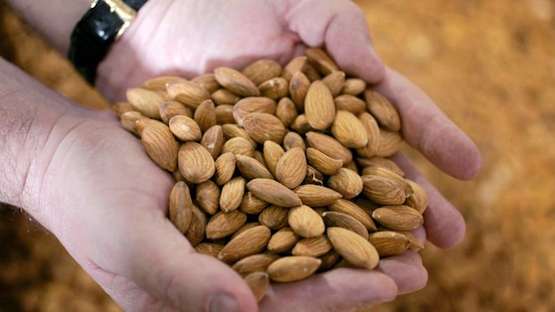 53 kilos worth of STI for almond chief