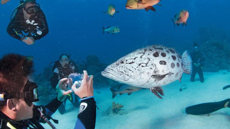 Aussies say Great Barrier Reef our greatest icon