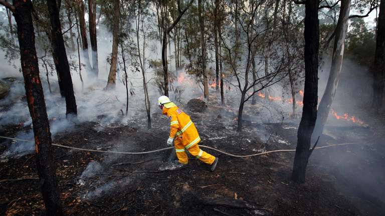 Statistics show the real cause of bush fires across NSW