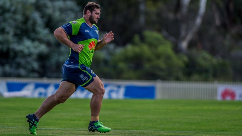 Dave Taylor was ready to give NRL dream away before the Canberra ...