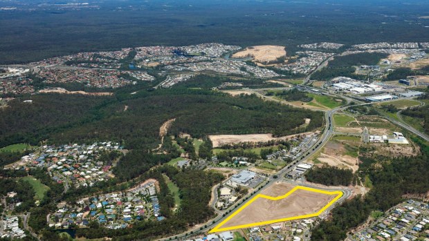 Springfield springs into action