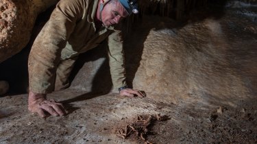 White-footed Rabbit Rat fossil identified in East Gippsland cave