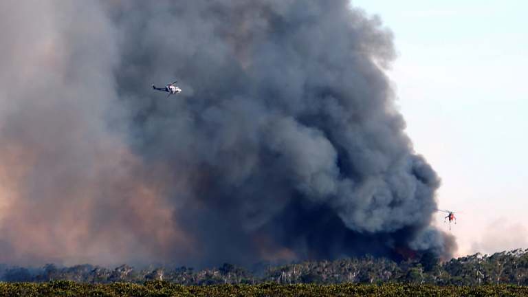 Fire devastation at Crib Point