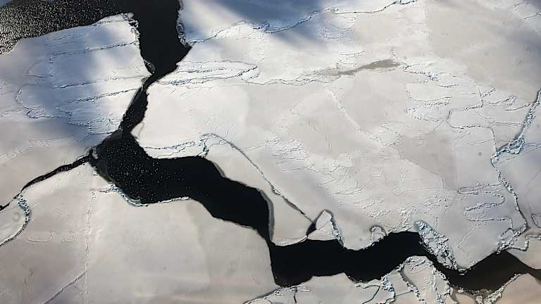 'Remarkable year': What's behind the record low sea ice in Antarctica