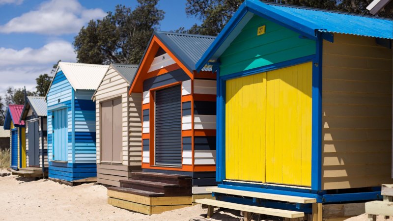 Spotlight: Mornington glory