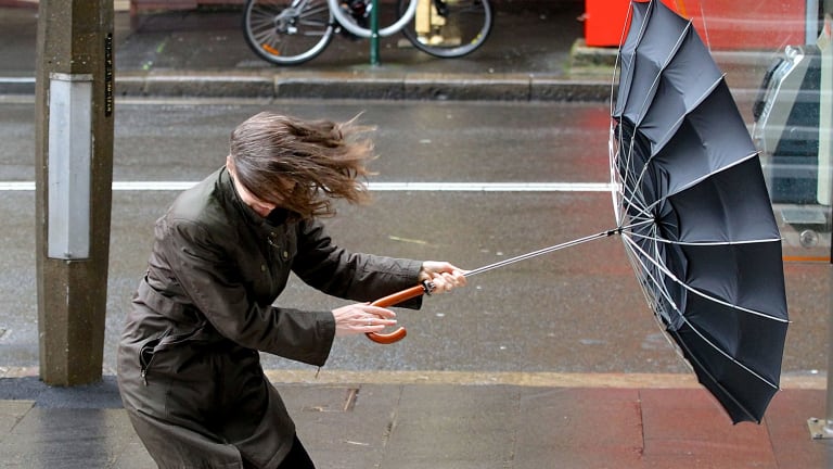 Sydney weather: Cold mornings ahead as wind chill bites