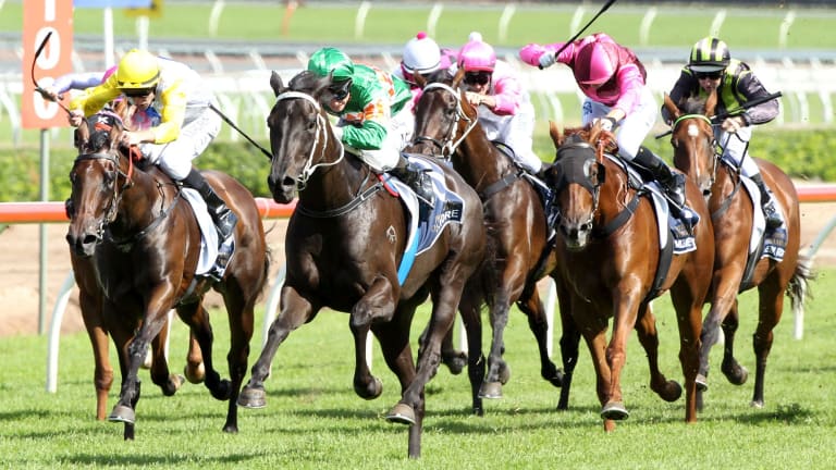 Racing NSW lifts race fields fee and moves Provincial Championships to ...