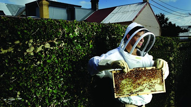 Sebastian Evans, NAOS Asset Management boss and beekeeper