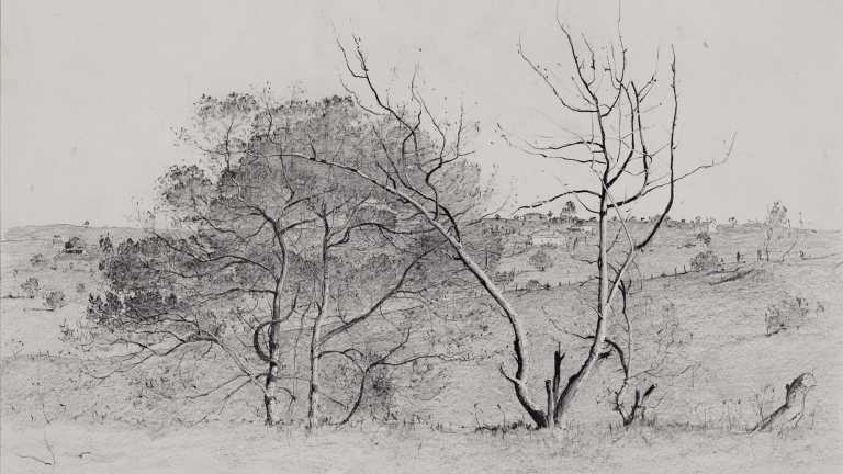 Review: Lloyd Rees, Painting with Pencil