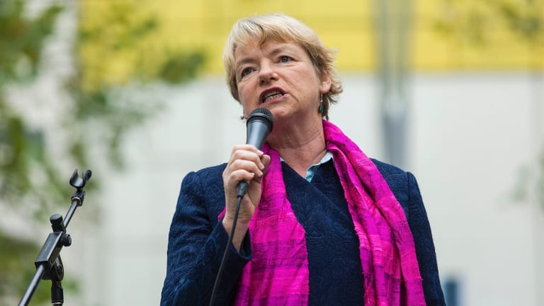 Greens senator Janet Rice calls for urgent bike infrastructure ...